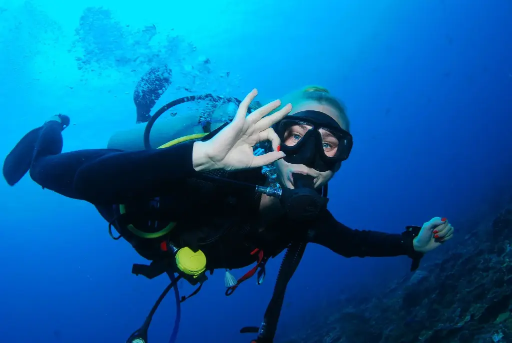 Discover Scuba Diving | Blue Marlin Dive Komodo